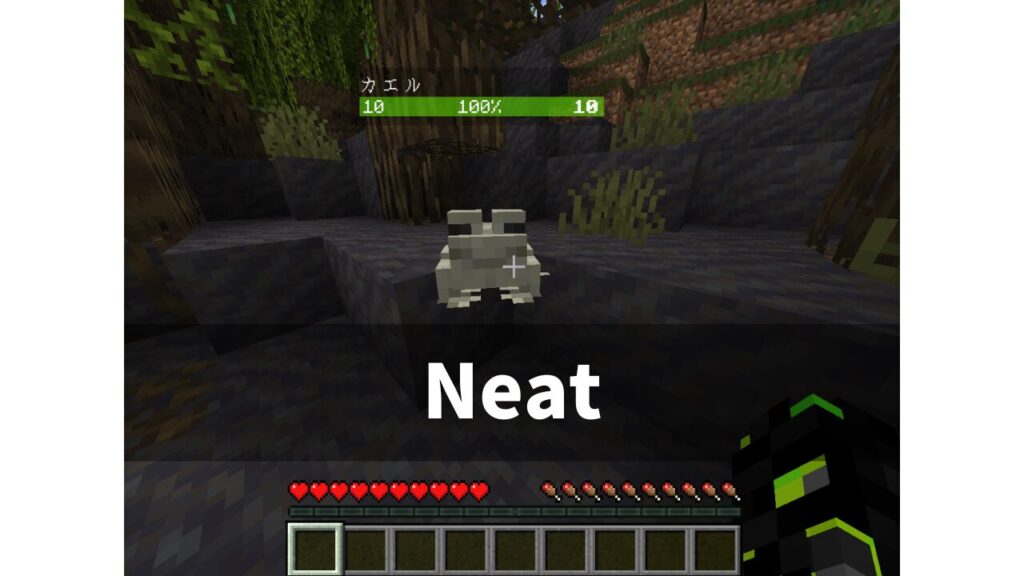 マイクラでインベントリ拡張！おすすめMODガイド